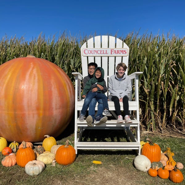 Councell Farms - 3 tips from 223 visitors