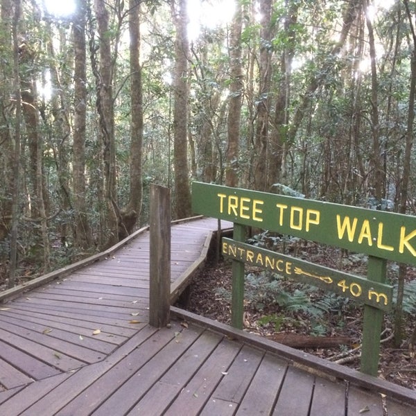 Photos at O'Reilly's Tree Top Walk - Hiking Trail