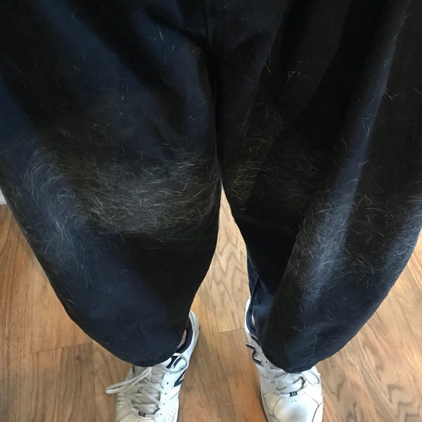 Longfellow - Neighborhood in Minneapolis