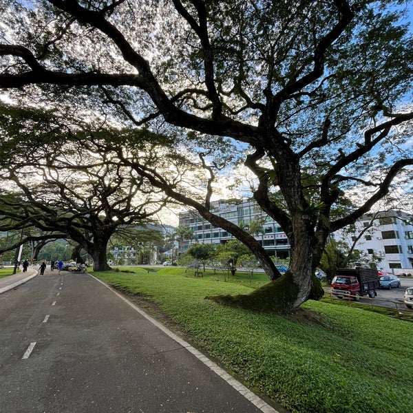 Raintree Walk - Bandar Taiping, Perak