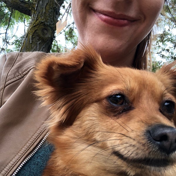 Seattle Animal Shelter - Animal Shelter in Seattle