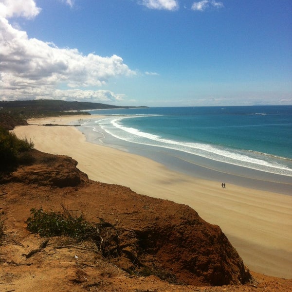 Anglesea Beach - Beach in Anglesea