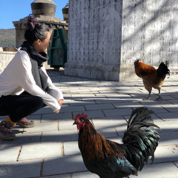 Hundred Chicken Temple - Temple in Shangri-La