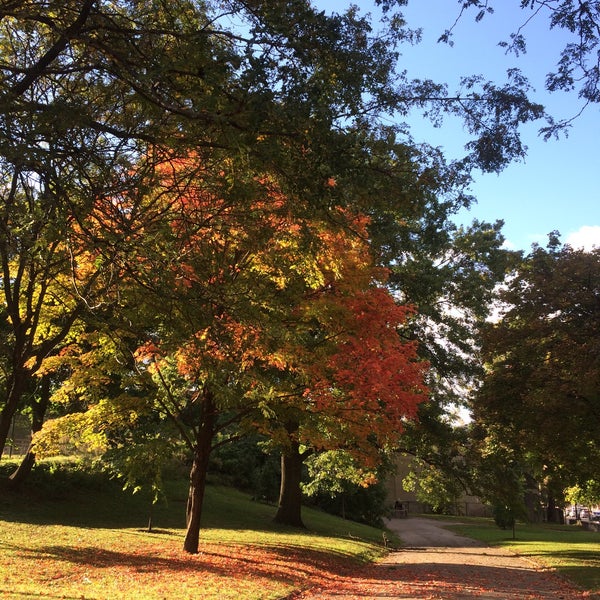 Photos at Arsenal Park - Playground in Lower Lawrenceville