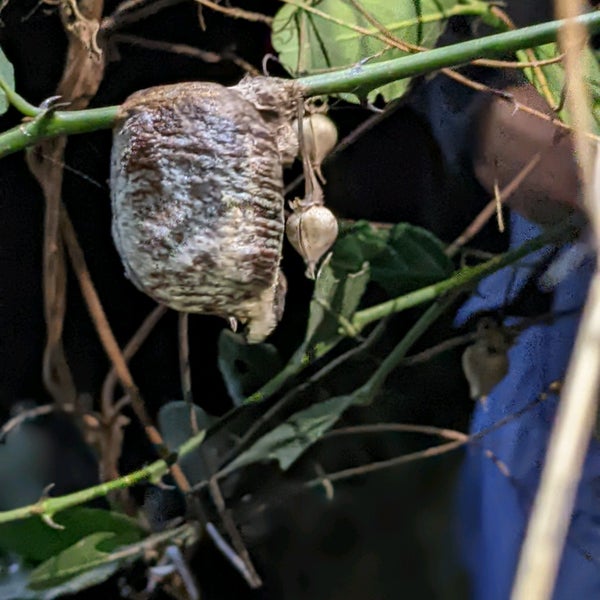 Elim Resort - 3 tips