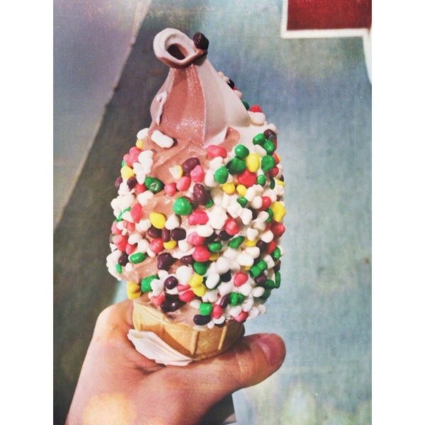 Wild Willy's - Ice Cream Shop