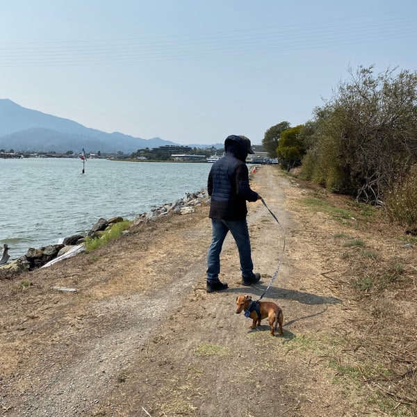Photos at Golden Gate Larkspur Ferry Terminal - Marine Terminal in East ...