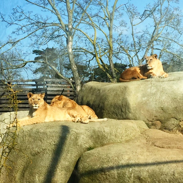 Parc Zoologique de Paris - Paris, Île-de-France