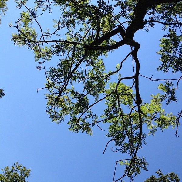 Photos at Parc Bertrand - Park