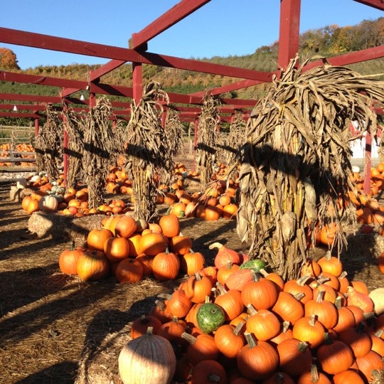 Silverman's Apple Farm - Farm in Easton