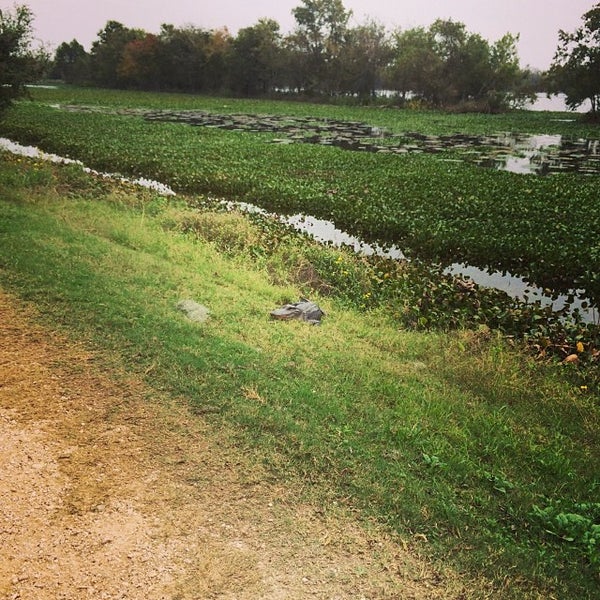 40 Acre Lake Observation Tower - 83 visitors