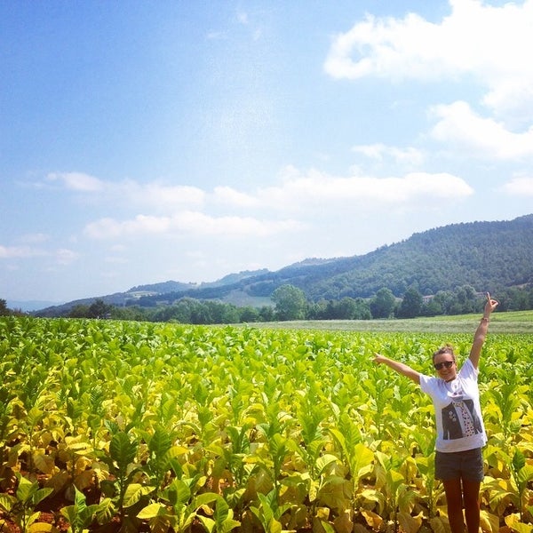 La Pieve Vecchia - S.S. Monterchi