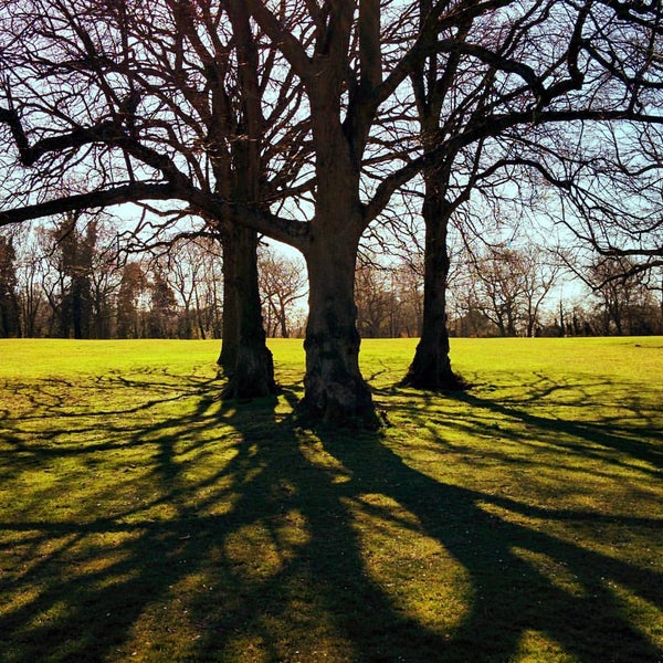 Weelsby Woods - 7 tips from 57 visitors