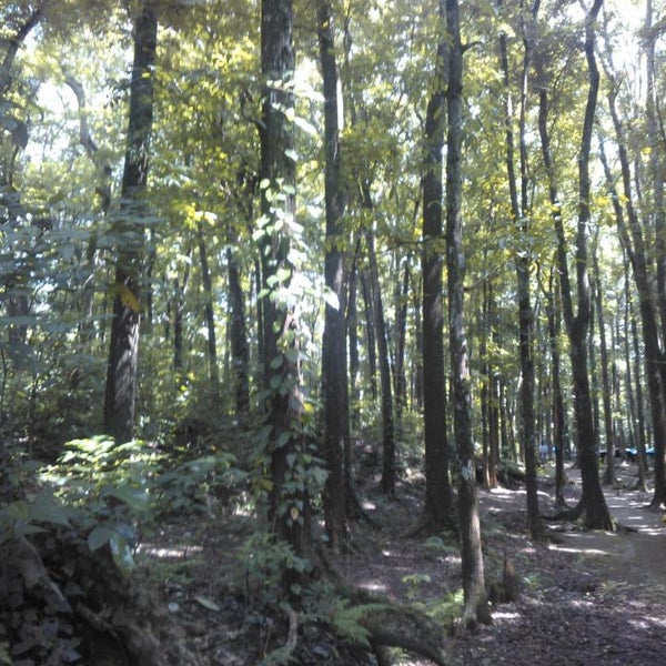 Hutan Sesaot, Lombok Barat, NTB, Indonesia - 68 visitors