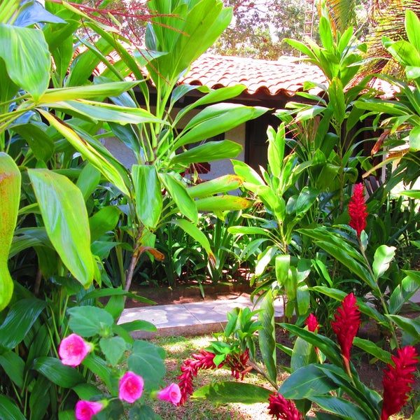 Hotel Hacienda El Jaral - 7 tips