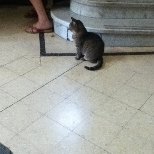 Facultad de Ciencias Veterinarias (UBA) - College Science Building in ...