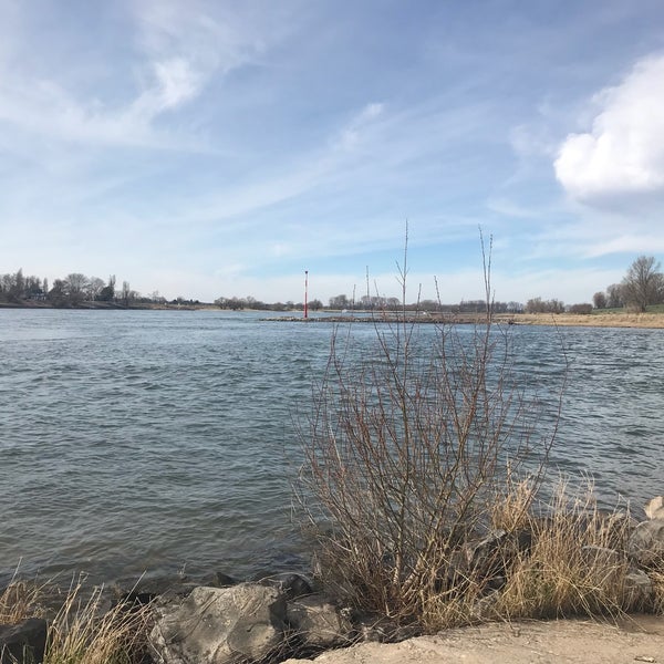 wilder Strand am Rhein - Beach