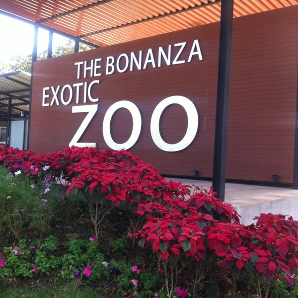 The Bonanza Exotic Zoo - 25 tips from 2495 visitors