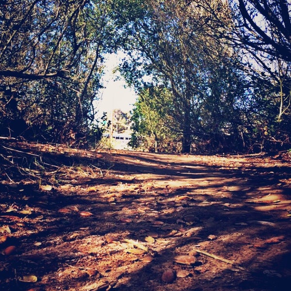 Rose Canyon Bike Path - Other Great Outdoors in University City