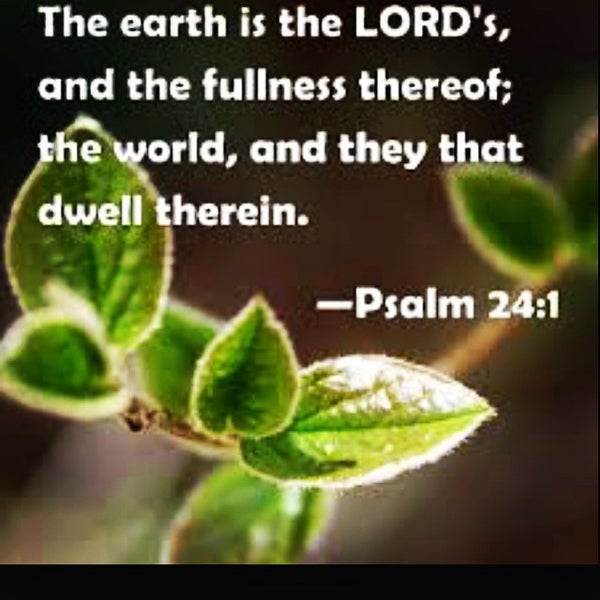 Photos at The Orient Square - Building in Pasig City