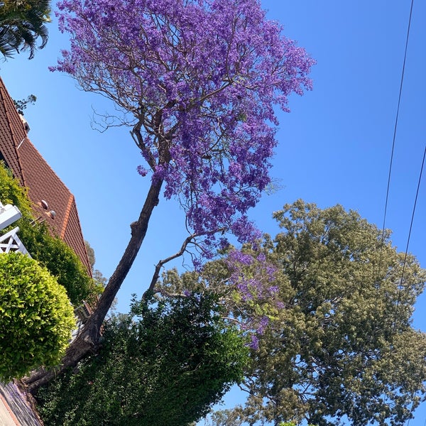 Fig Tree Pocket State School - Education