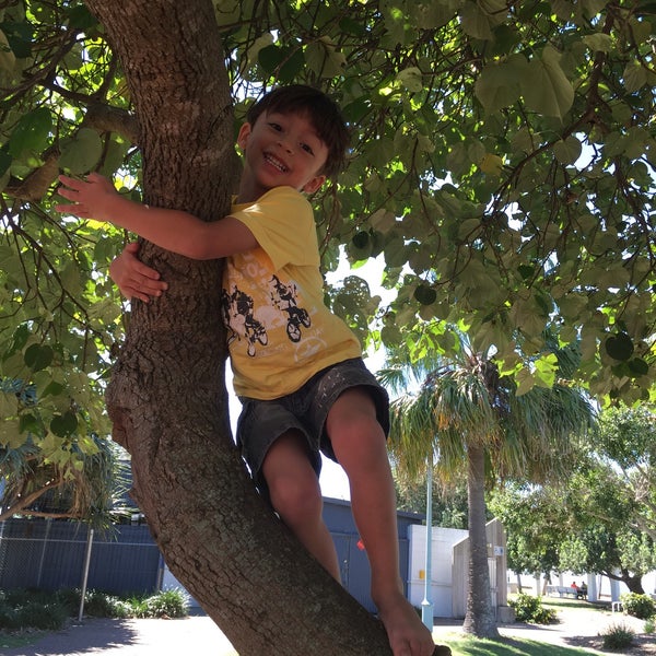 Arthur Davis Park Beach Front - 182 Flinders Parade