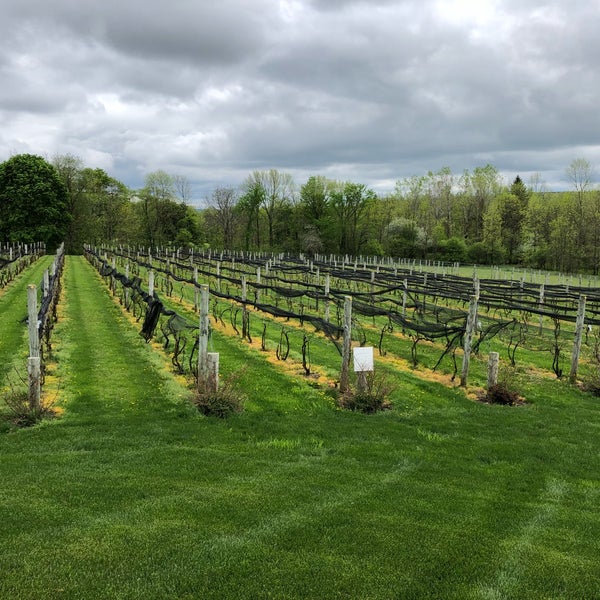 Owera Vineyards - Vineyard in Cazenovia