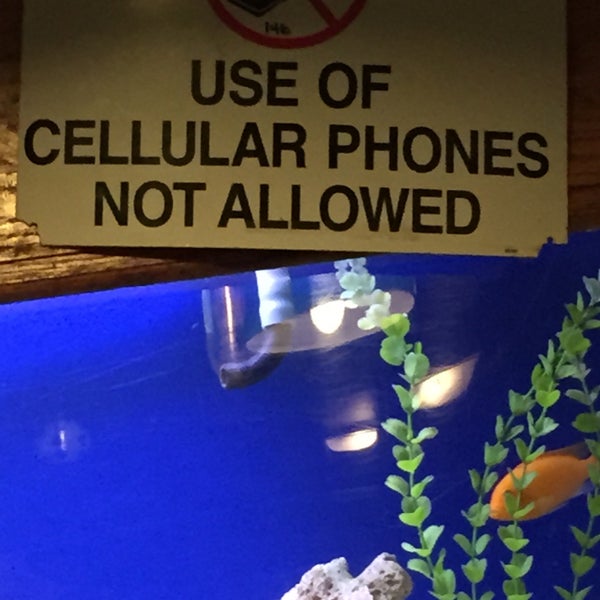 Kelly's Sea Level - 14 tips from 321 visitors