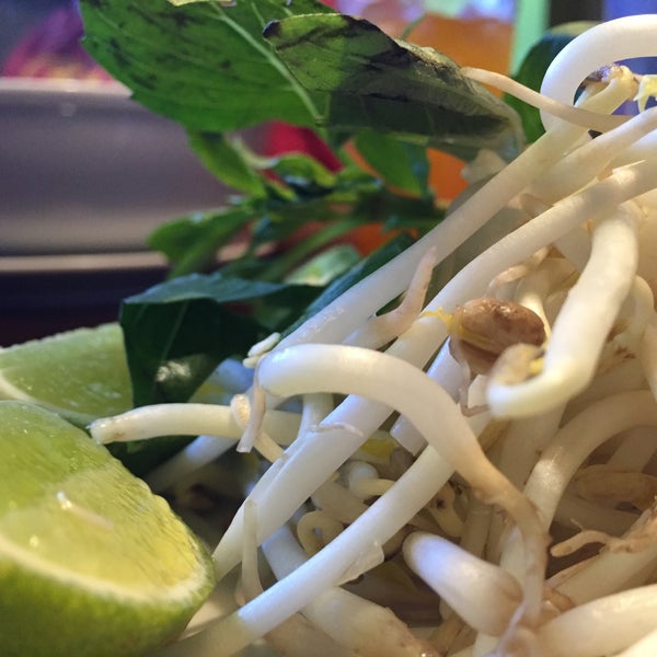 Basil Leaf - 11 tips