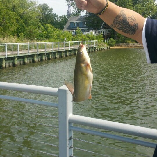 Photos at Wilson Point Park - Park