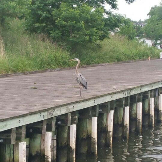 Photos at Wilson Point Park - Park