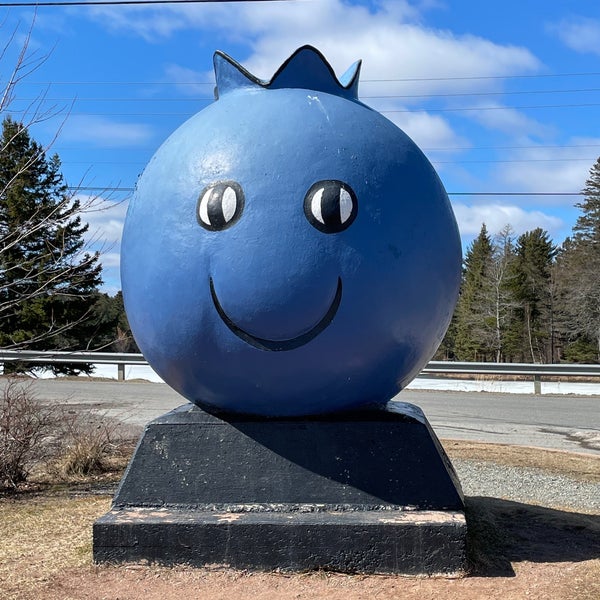 The Giant Blueberry - 2 tips from 200 visitors