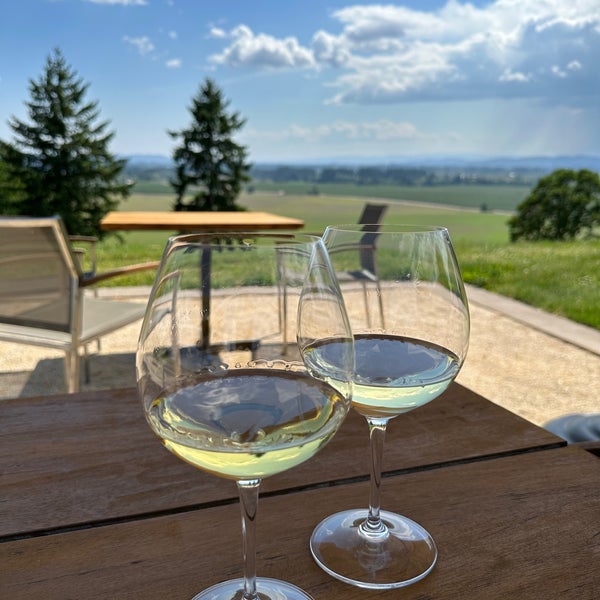 Soter Vineyards - Vineyard