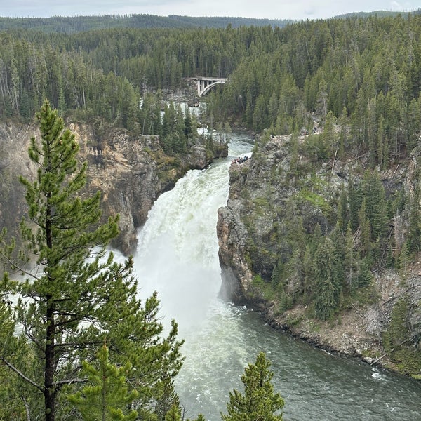 Upper Falls Overlook - Yellowstone National Park, WY