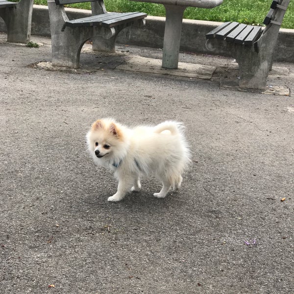Steuben Playground - New York, NY