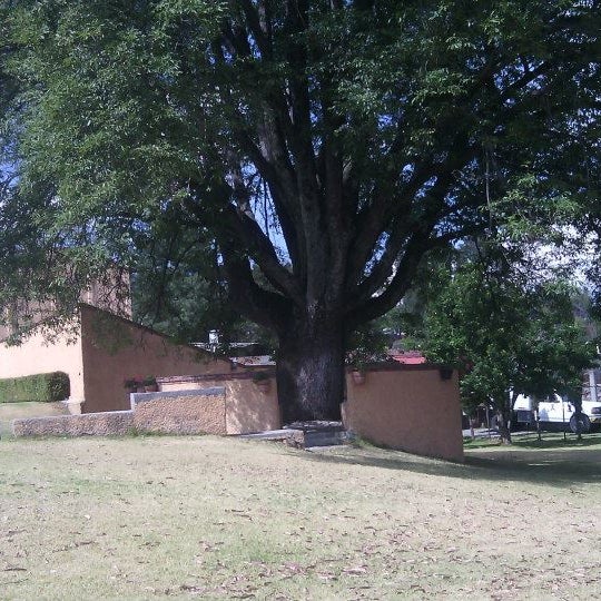 Salón “Rancho el Potrero“ - Calle Pino, esq Cedro s/n. Colonia Zaragoza ...