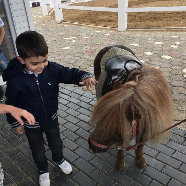 Photos at Vali Ranch, Gjilan - Përlepnic