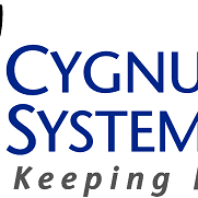 Cygnus Systems Inc. - IT Service