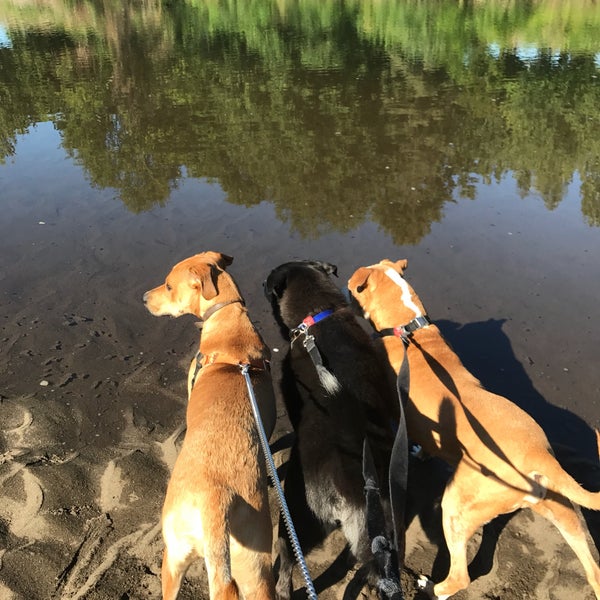 People For Puget Sound: Codiga Park - Other Great Outdoors in Tukwila