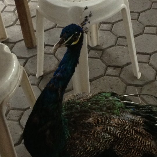 Photos at Caryana Monastery - Magalang, Pampanga