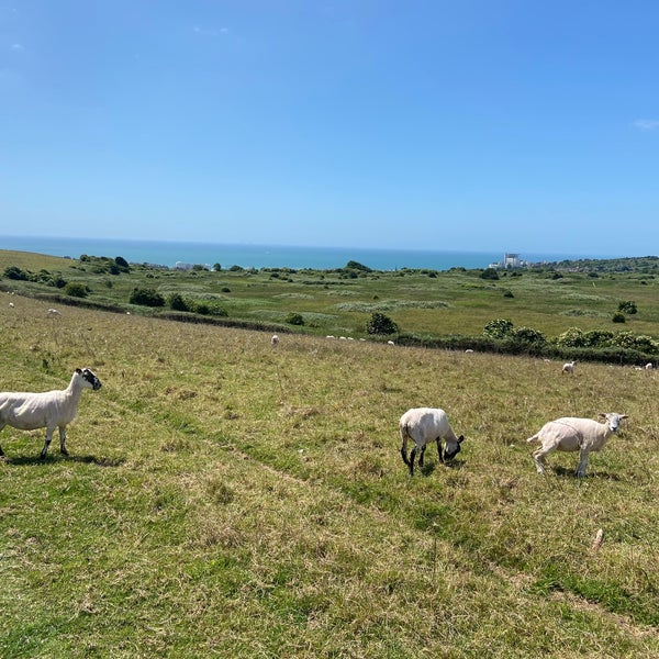 Sheepcote Valley - East Brighton - 2 tips
