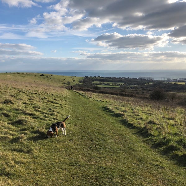 Sheepcote Valley - East Brighton - 2 tips