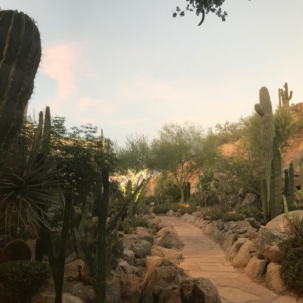 The Phoenician Resort Cactus Garden - Garden in Phoenix