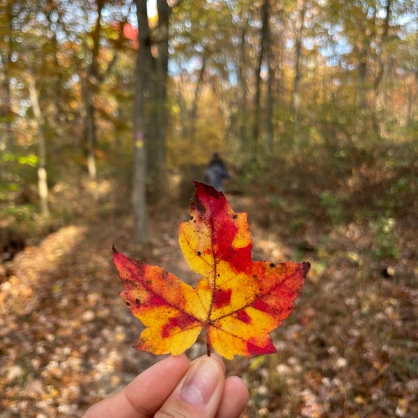 Watchung Reservation - Park