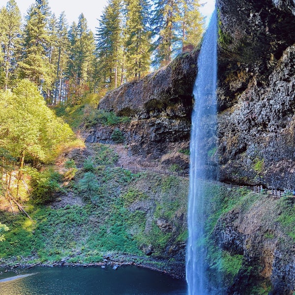 Silver Falls - Hiking Trail in Clackamas