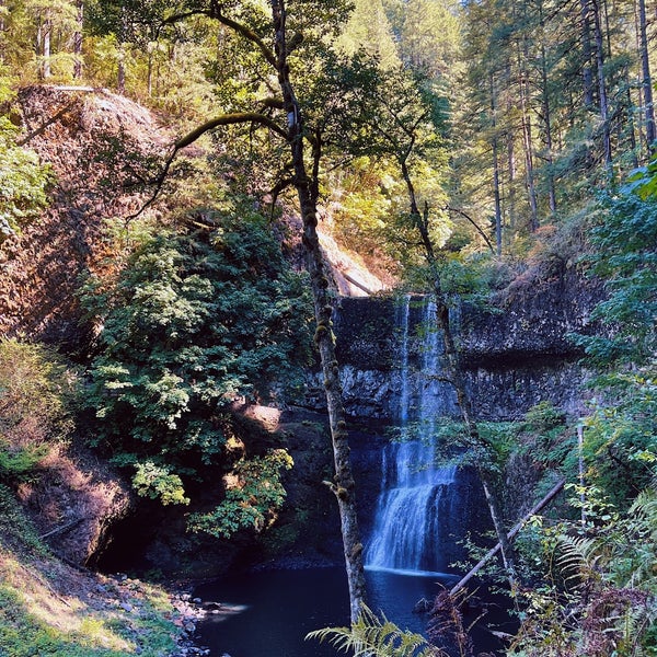Silver Falls - Hiking Trail in Clackamas