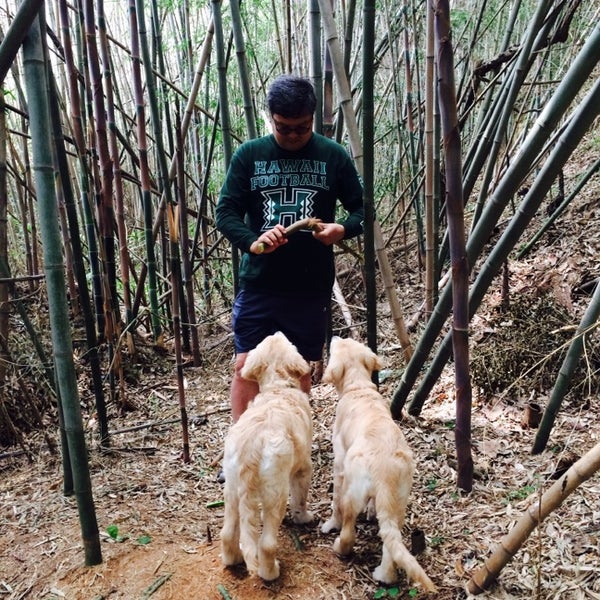 Taechon Beach Association - TBA - 1 tip from 17 visitors