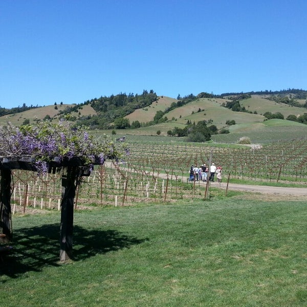 Navarro Vineyards & Winery - Winery