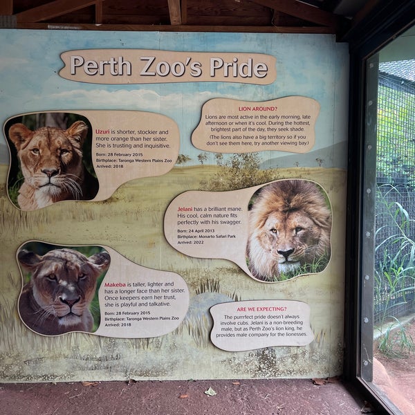 Perth Zoo - 54 tips from 2249 visitors