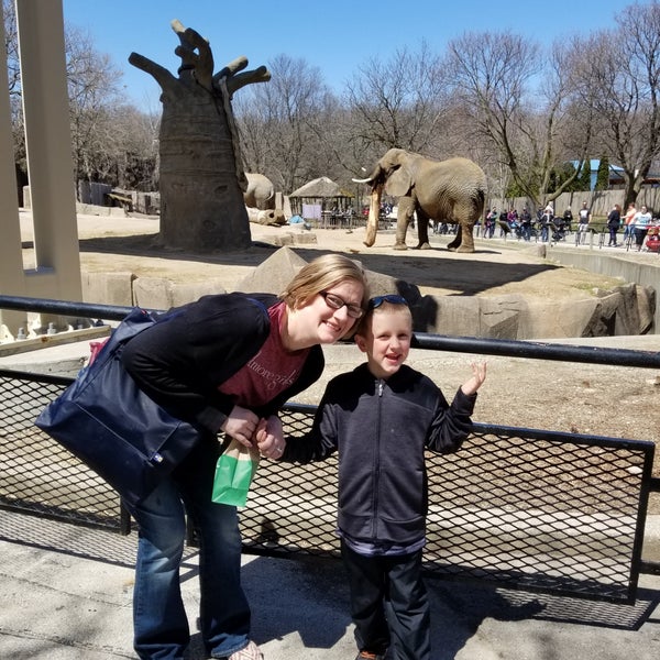 Milwaukee County Zoo Elephants